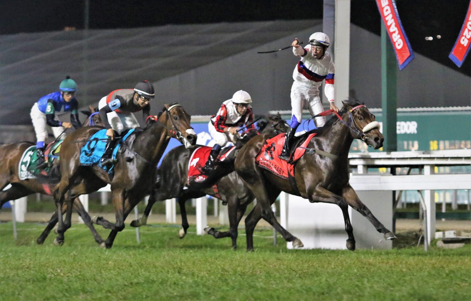 VEJA A GALERIA DE IMAGENS DO GP JOCKEY CLUB DE SÃO PAULO – JAPAN RACING ...