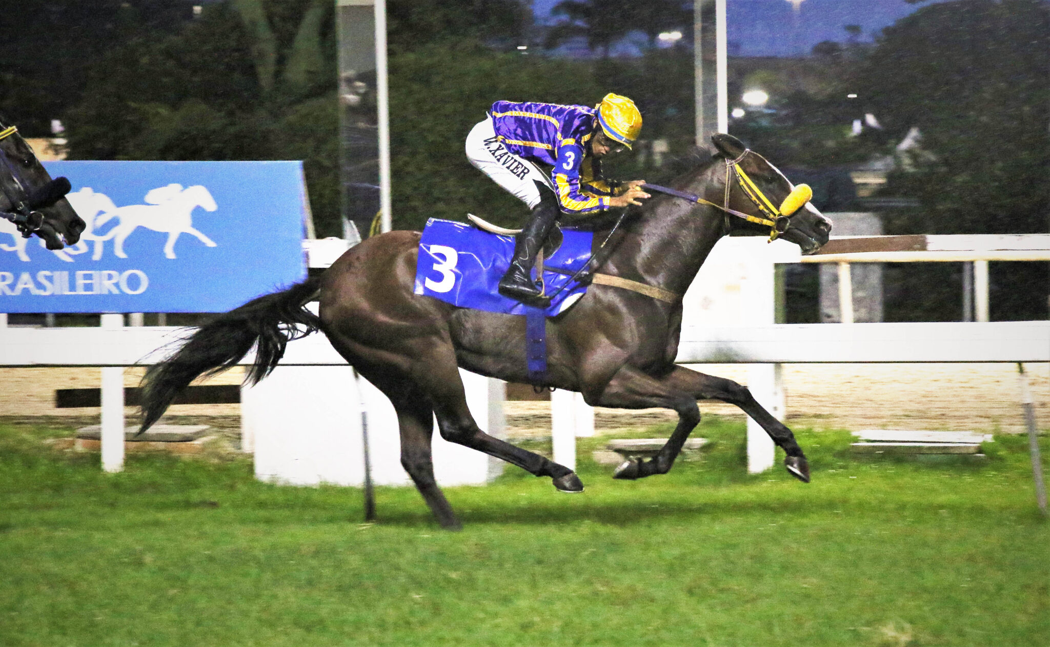 Total Magic (Cesar Augusto Rabassa Hax); Sinnerman (Stud Forli ...