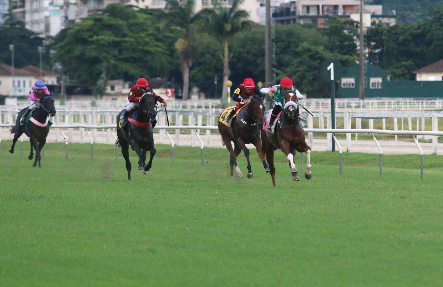 por Fernando Lopes – fotos: Sylvio Rondinelli