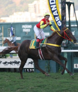 O GP Brasil no século XXI – Dono da Raia 2006
